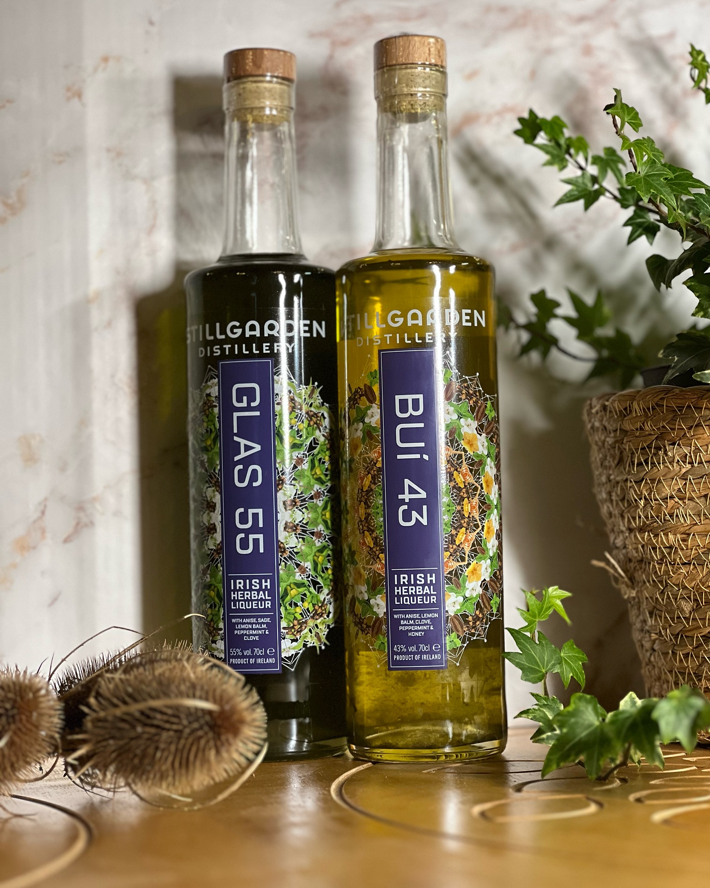 Stillgarden Distillery Launch Cocktail Competition – WINE SPIRIT WOMEN